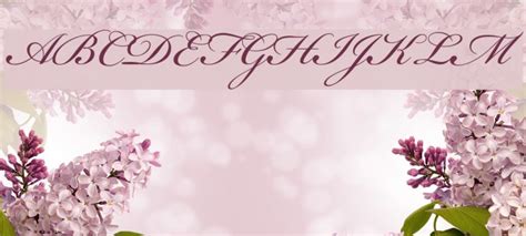 bickham script mm font
