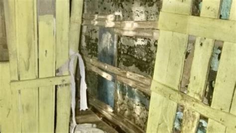 ბავშვი გალიაში ჩაკეტეს და 6 წლის ასაკიდან აიძულეს ტყვეობაში მყოფი ცხოველივით ეცხოვრა