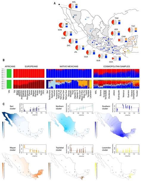 Native American Genetic Traits