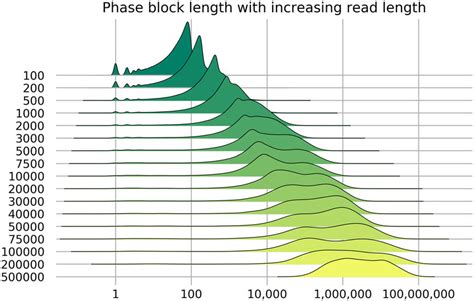 Ridge Plot Showing The Distribution Of The Length Of Phase Blocks With