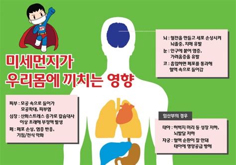 Healthand Life 주말 미세먼지 주의보폐암 호흡기 질환 발병 사망률 높아