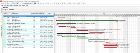Primavera P6 And Displaying Activity Table Ordinal Date Columns