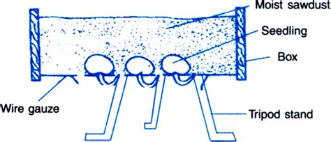 Design An Experiment To Demonstrate Hydrotropism With Diagra
