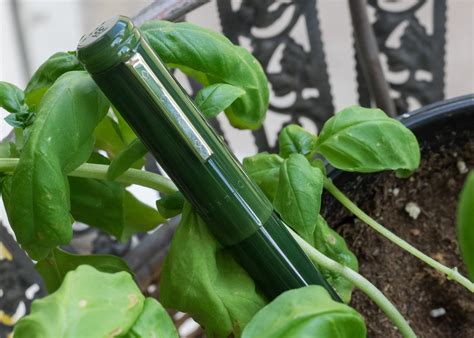Franklin Christoph Model 20 Marietta In Vintage Green A Review — The