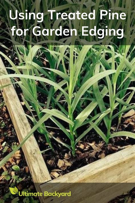 Using Treated Pine For Garden Edging
