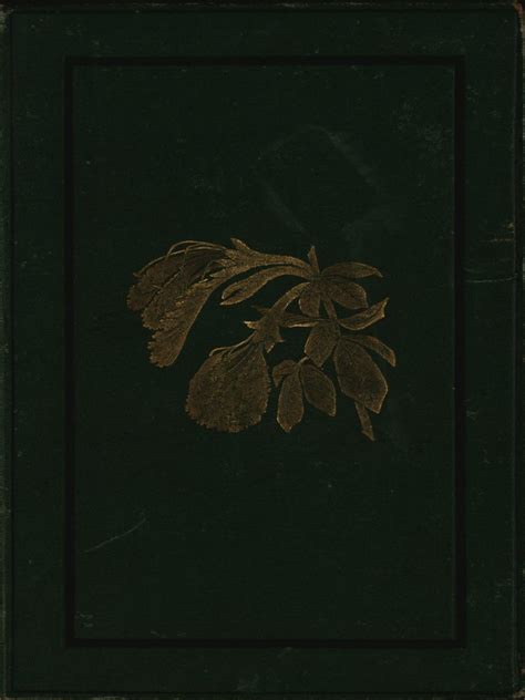 John Monteiroangola And River Congo Pdf