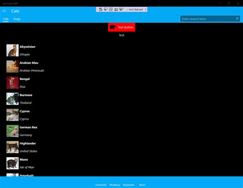 Bug In A UWP AppShell App Using A CollectionView Within A StackLayout Along With A Solitary