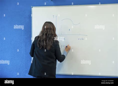 University Professor Explaining A Mathematical Function To Students