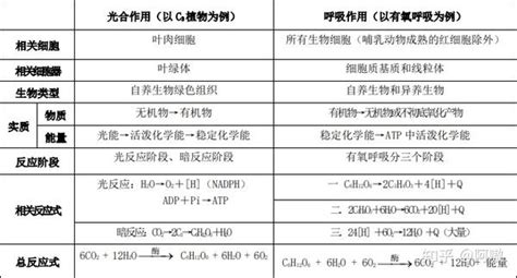 高中生物必修一•光合作用与能量转化（二） 知乎
