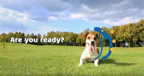 Ldcu Logo Design Clear Direction