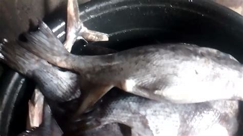 Short Short Isda Na Pakol Pang Sugba Youtube