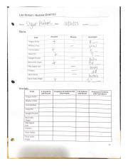 Human Genetics Lab Report Traits Genotypes Blood Groups Course Hero