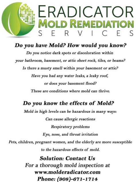 Nj Certified Mold Inspection Mold Testing Mold Removal Call Us