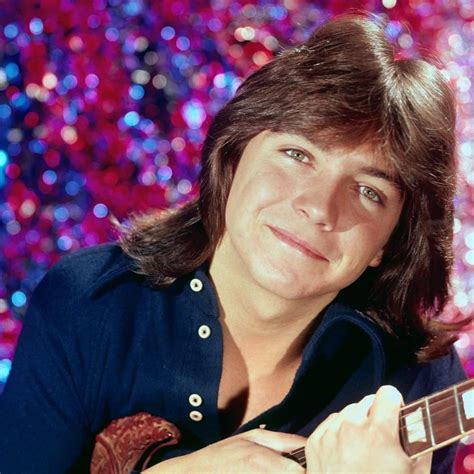 ¿qué Está Haciendo Shaun Cassidy Hoy