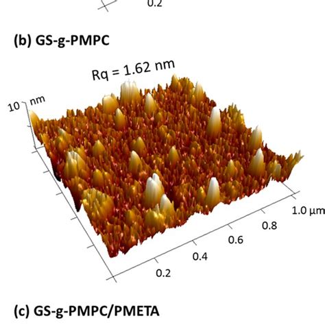 Xps Wide Scan C 1s And N 1s Core Level Spectra Of The A− C Ss G Pmpc