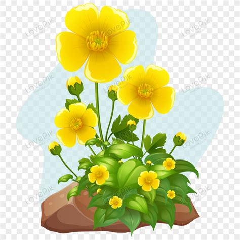 귀여운 노란 꽃 식물 Png 일러스트 무료 다운로드 Lovepik