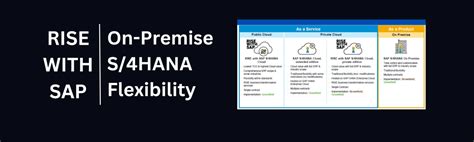 How Rise With Sap And On Premise S 4hana Flexibility Are Transforming Businesses