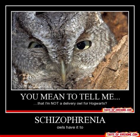 Funny Schizophrenia Quotes Quotesgram