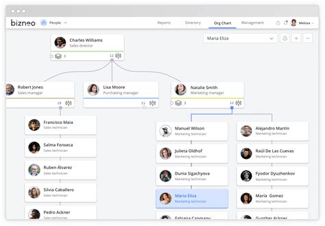 The Best And Not So Great Organizational Chart Softwares In The Market