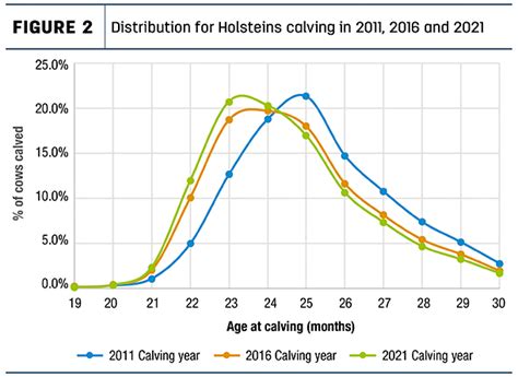 How Does Age At First Calving Affect The Bottom Line Ag Proud