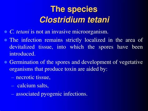 Clostridium Tetani Spores