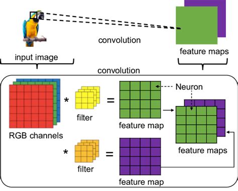 Terminology Of A Filter In A Convolution Download Scientific Diagram