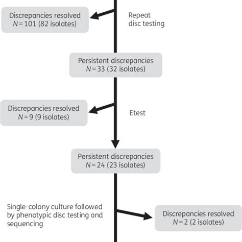 Algorithm Used For Retesting Of Discrepancies Between Results Of Download Scientific Diagram