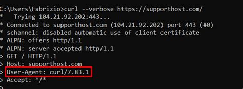 Linux Comando Curl Come Usarlo 12 Esempi Supporthost