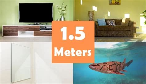 12 Everyday Items That Are 5 Meters Longbig