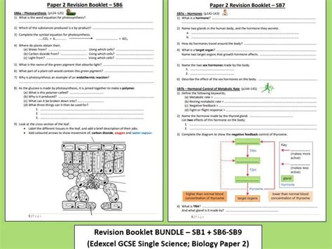 Revision Booklet Bundle Sb1 Sb6 Sb9 Edexcel Gcse Single Science Biology Paper 2 Teaching