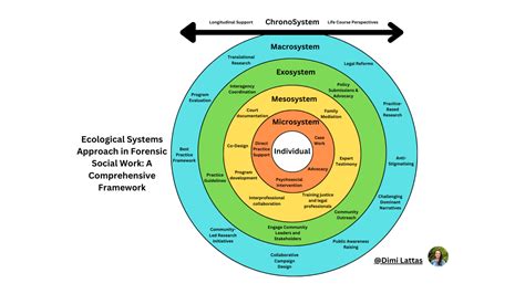 Ecological Systems Approach In Forensic Social Work A Comprehensive