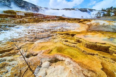 Premium Photo Stunning Landscape Of Yellowstone Hot Springs With