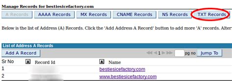 how to add txt record for domain