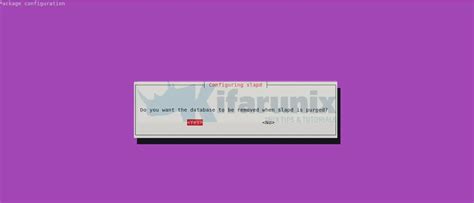 Install Openldap Server On Ubuntu 2404