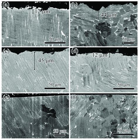 Cross Sectional Micrographs For Different Surface Processes Before