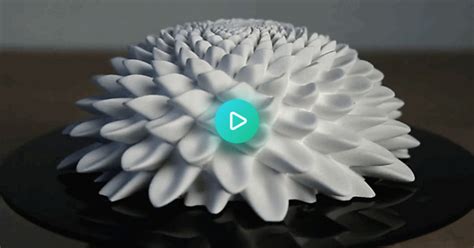 Fibonacci Zoetrope Sculptures By John Edmark Album On Imgur