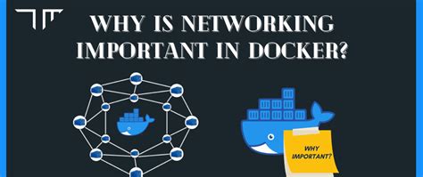Why Is Networking Important In Docker Networking In Docker 1 Dev
