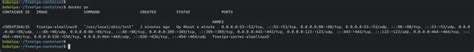 How To Install Freeipa Server With Docker On Debian 12