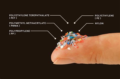 5 Types Of Microplastics Youre Exposed To Daily And How To Reduce Them
