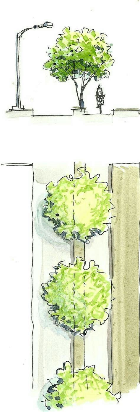 Pin By Carolina On Ilustraciones Landscape Architecture Drawing Landscape Sketch Landscape