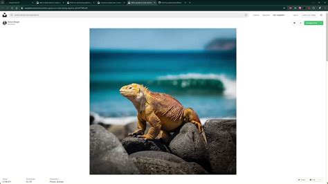 one page full website project html and css responsive website youtube