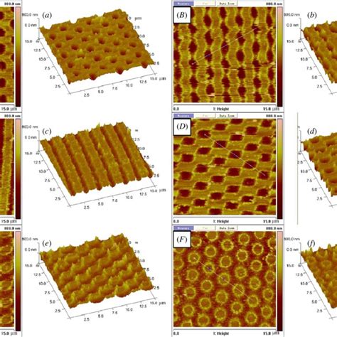 Two Dimensional Top View Images And Three Dimensional Topology Of The