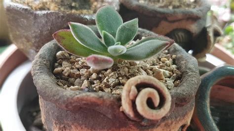 이쁜아가들 Youtube