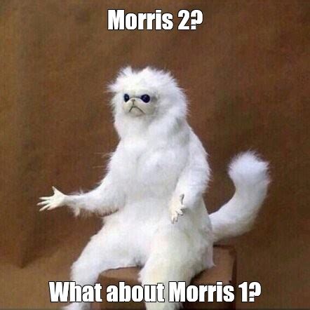 Meme Morris 2 What About Morris 1 All Templates Meme
