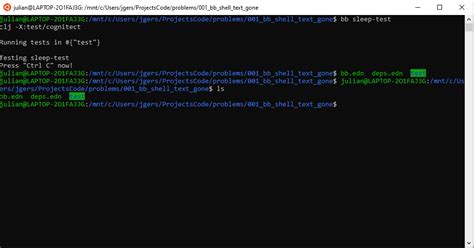 Early Exit On Bb Shell On Wsl Corrupts Terminal Input Visibility · Issue 1512 · Babashka