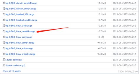 Frp内网穿透工具干草frp Csdn博客