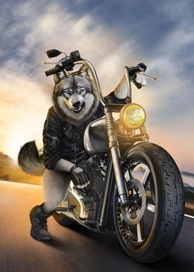 Wolf Riding Motorcycle Poster Picture Metal Print Paint By Jeff