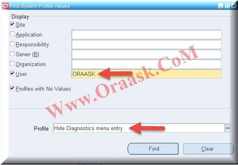 Enable Diagnostics In Oracle Apps Oraask