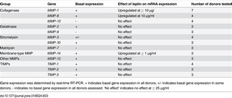 Basal And Leptin Stimulated Mmp And Timp Expression In Hgfs Download