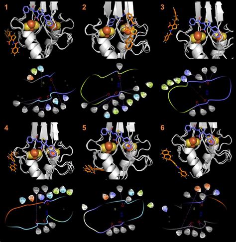 The Ligand Protein Interactions In Ii At 310 K The Crystal Binding